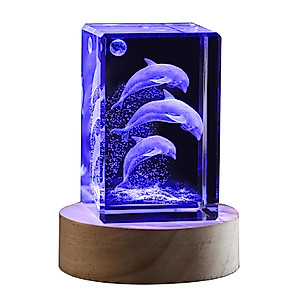 YouerCrystal 3D Crystal Dolphin Figurine Night Light with LED Light Base, Birthday Gift for Kids Women Unique, Thanksgiving Christmas Valentines Anniversary Birthday Gifts for lovers (3D-Dolphin)