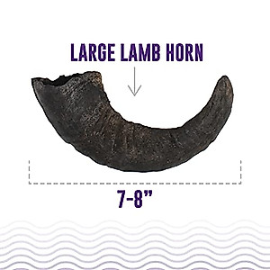 Icelandic+ Plus Large Lamb Horn Dog Chew