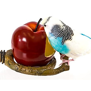 Penn-Plax Garden Cups – for Seed, Water, and Treats – Great for Small Birds (Parakeets/Budgies, Parrotlets, Cockatiels, Canaries, & Finches) – Apple (BA450)