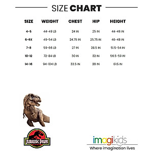 Jurassic World Dinosaur T-Rex Big Boys Fleece Zip Up Hoodie and Jogger Pants Set Logo Gray 10-12