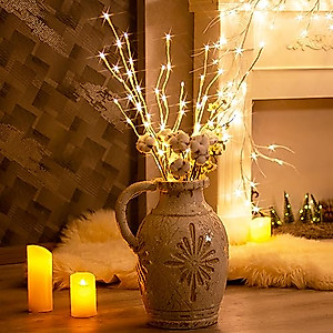 Vanthylit 3PK 30'' Lighted Birch Twig Branches with 60 LED Warm White Bulbs Waterproof Adapter in for Outdoor and Indoor Decor