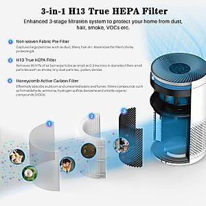 Okaysou Cayman 608/320 Replacement Filter, 3-in-1 True HEPA, High-Efficiency Activated Carbon, White