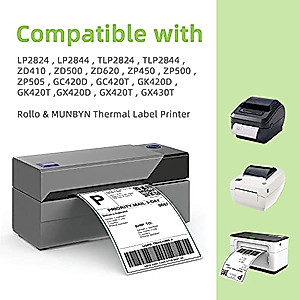 Anylabel Compatible 4" x 6" Direct Thermal Label Replacement for DYMO 1744907 Postage Address Shipping Compatible with Dymo 4XL, Rollo & Zebra Printer Permanent Adhesive (12 Rolls, 220 Labels/Roll)
