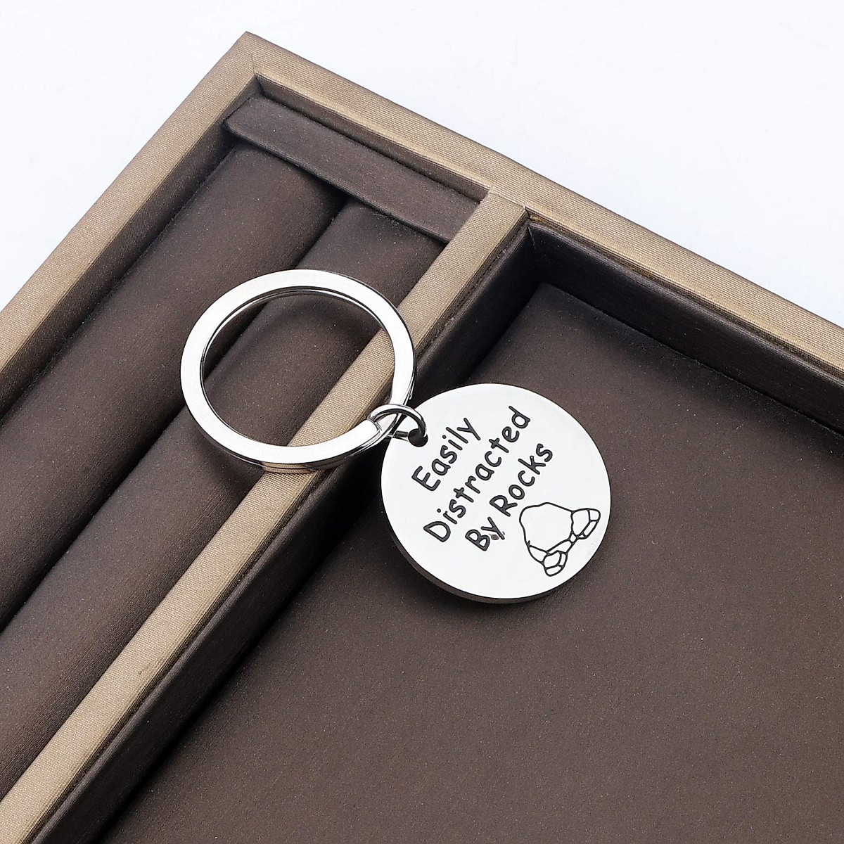 CENWA Geology Gift Geologist Jewelry Easily Distracted by Rocks Keychain Geology Professor Gift Geology Student Gift (Rocks Keychain)