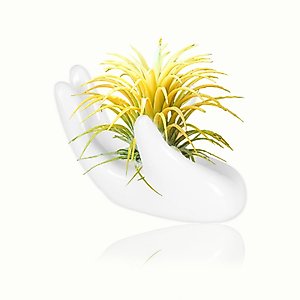 UAIAGM Hand-Shaped Air Plant Holder - Ceramic Mini Stand for Airplants - Decorative White Pot for Live Houseplants - Unique Desk, Table, Shelf Decor