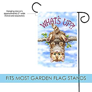 Toland Home Garden 1110807 What's Up Cat Flag 12x18 Inch Double Sided Cat Garden Flag for Outdoor House Kitten Flag Yard Decoration