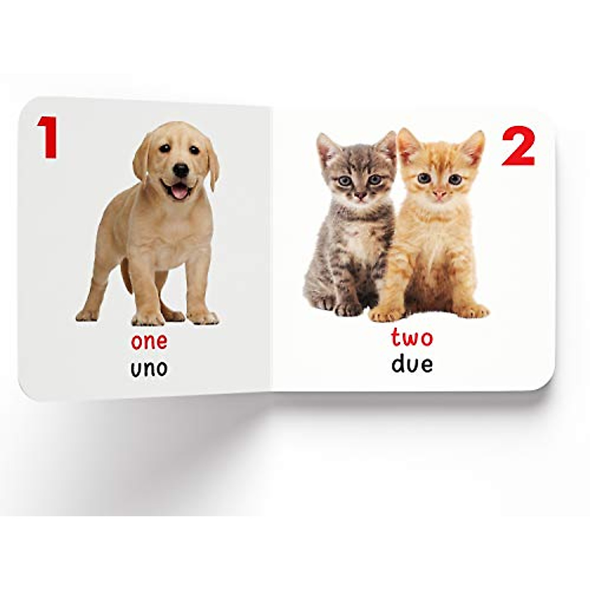 My First English-Italiano Learning Library (la mia prima biblioteca delle parole Inglese-Italiano): Boxset of 10 English - Italian Board Books (English and Italian Edition)