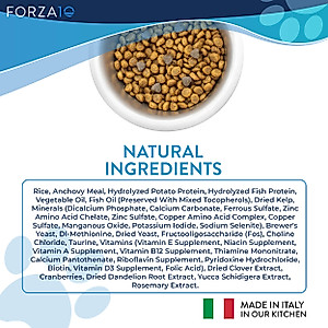 Forza10 Active Dry Cat Food Urinary Tract Health, Fish Flavor Urinary Tract Cat Food, Adult Cats Urinary Cat Food, 2 Pound Bag Urinary Tract Cat Food Dry