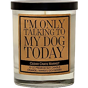 Funny Dog Candles Gifts for Women, Men, Dog Lovers, Pet Candle for Home, House, Dog Mom Gifts, Pet Mom, Fur Mamas, Dog Dads, Foster, Rescue, Adoption Pet Families (I'm Only Talking to My Dog Today)