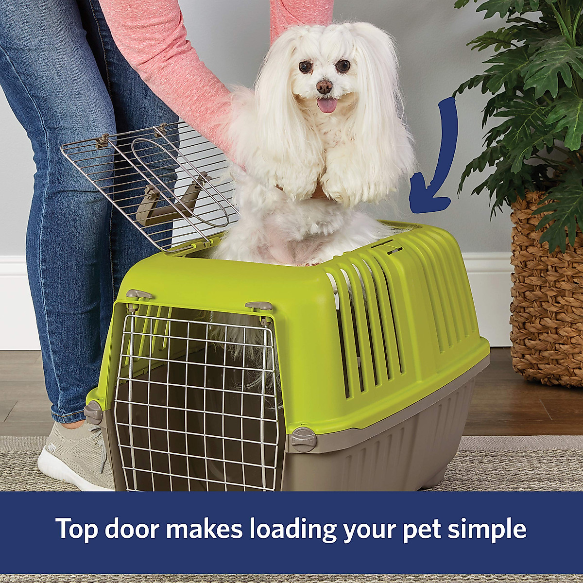 MidWest Homes for Pets Spree Travel Pet Carrier, Dog Carrier Features Easy Assembly and Not The Tedious Nut & Bolt Assembly of Competitors, Ideal for Small Dogs & Cats