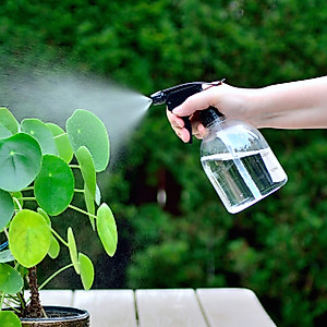 Youngever 6 Pack Empty Plastic Spray Bottles, Spray Bottles for Hair and Cleaning Solutions, 6 Pack 16 Ounce Bottles (3 Clear and 3 Black)