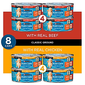 Puppy Chow Purina (8) Cans Healthy Start Nutrition 4-Real Chicken,4-Real Beef .Total 8-5.5 OZ Cans