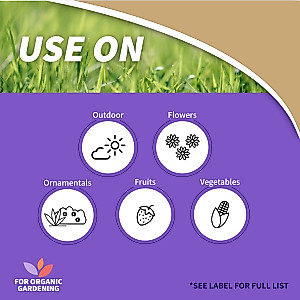 Bonide Captain Jack's Copper Fungicide, 32 oz Ready-to-Use Spray for Organic Gardening, Controls Common Diseases