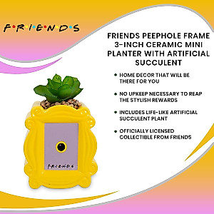BoxLunch Friends Peephole Frame Faux Succulent Planter