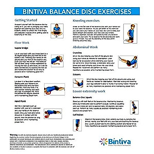 bintiva Round Balance disc Purple 33cm