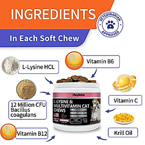 HEYISME Lysine Supplement for Cats, Cat Treats for Sneezing and Runny Nose, Cat Cold, Cat Immune Support, Eye Function, and Respiratory Health, L-Lysine cat Vitamins for Cats (120 Pills, Salmon)