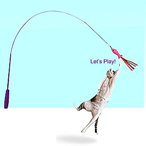 11 Pack Cat Toys Interactive Cat Feather Toys, 2 Retractable Cat Toy Wand, Variety 7 Worms and 1 Catnip Fish Teaser Refills with Bells, Kitten Toys Assortments Fun for Indoor Cats, 1 Replacement Line