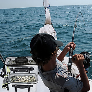 WHCDSTGJ Transparent Lid Fishing Bucket, Portable Foldable Fishing Bucket, Live Bait Bucket with Aeration Hole, for Bait Bucket, Live Fish Bucket, Live Bait Storage.4/6/8 gallons (8 gallons)