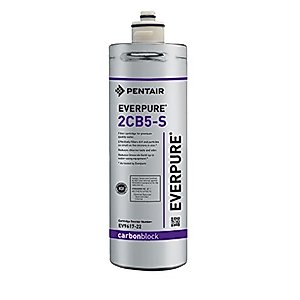 Everpure Replacement EV9617-22 2CB5-S Filter Cartridge, 1 Count (Pack of 1), Gray