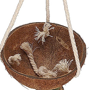 Parrot Coconut Shell Swing Parrot Swing Toy Bird Chewing Toy Nature Wood Stand Parrot Cage Bite Toys for Small Medium Birds