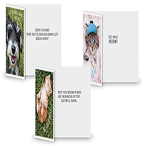 Current Furry Friends Get Well Greeting Cards Value Pack - Set of 20, 10 Unique Designs, Large 5 x 7 Inch Cards, Sentiments Inside, Dogs, Cats, Pets