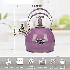 Whistling Tea Kettle Stainless Steel Teapot, Teakettle for Stovetop Induction Stove Top, Fast Boiling Heat Water Tea Pot 2.6 Quart