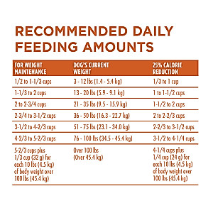 Purina ONE Plus Healthy Weight High-Protein Dog Food Dry Formula - 16.5 lb. Bag