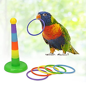 BWOGUE 12PCS Bird Training Toys Parrot Intelligence Toy Mini Sneaker Skateboard Parrot Wooden Block Puzzles Toy Bird Basketball Toy Stacking Rings for Budgie Parakeet Cockatiel Conure Lovebird