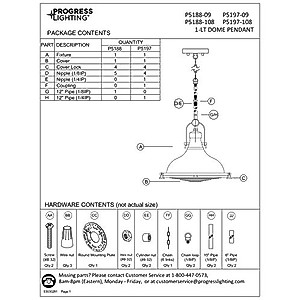 Progress Lighting P5188-108 Fresnel Lens Pendants, Bronze