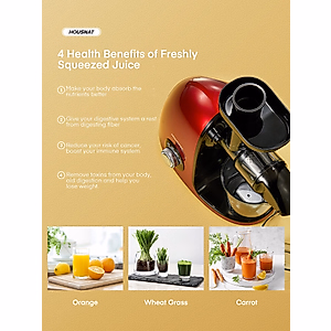 Juicer Machines Vegetable and Fruit, HOUSNAT Cold Press Juicer Extractor with 2-Speed Modes Easy to Clean, Slow Masticating Juicer with Quiet Motor, Reverse Function, Recipes (Passion Red)