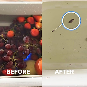 Fruit Vegetable Washing Machine,USB Portable Ultrasonic Electrolysis Fruit Purifier Fruit Cleaner Device Mini Dishwasher for Cleaning Fruit Vegetables Meat(White)