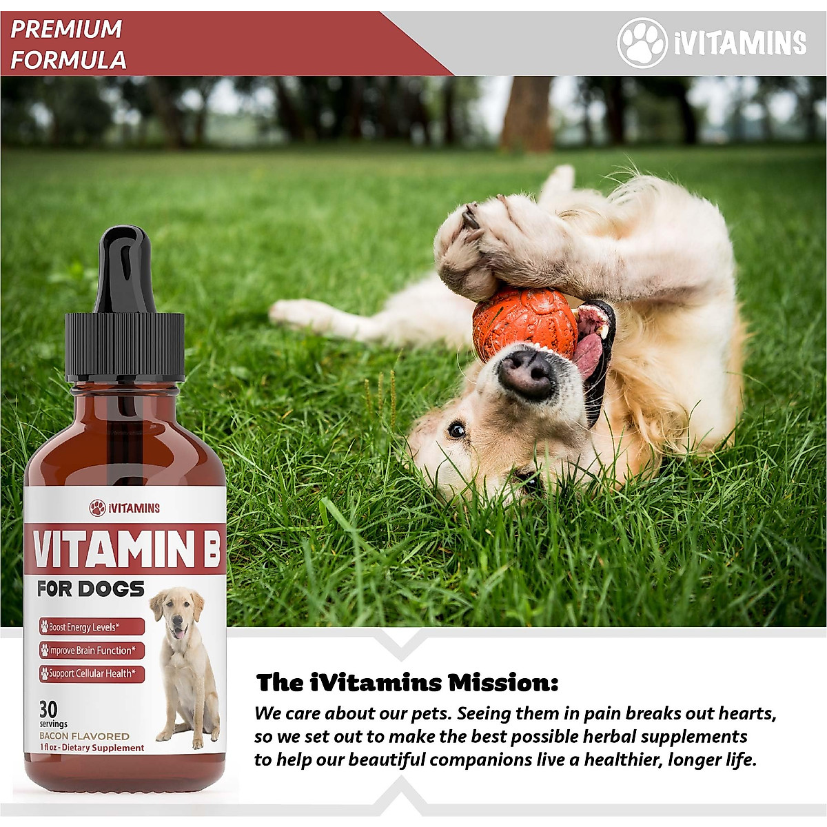 Vitamin B for Dogs | Vitamin B Complex for Dogs | Vitamin B12 for Dogs | Dog Vitamins | B12 Vitamins for Dogs | Vitamin B Dog Supplements | B Complex for Dogs | B12 for Dogs | Do1 fl oz: Bacon Flavor