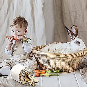 X-pet Rabbit Chew Toys and Chinchilla Treats, All Natural Material Suitable for Guinea Pig, Chinchilla, Hamster and Other Small Animals