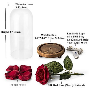 "Beauty and the Beast" Rose Kit, Red Silk Rose and Led Light with Fallen Petals in Glass Dome on Wooden Base for Home Decor Holiday Party Wedding Anniversary