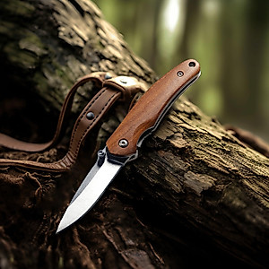BARRYSAIL Small Pocket Knife, Folding Knife with 2.4 Inch Blade, Liner Lock, Wood Handle for EDC, Outdoor Camping, Survival (Polished)