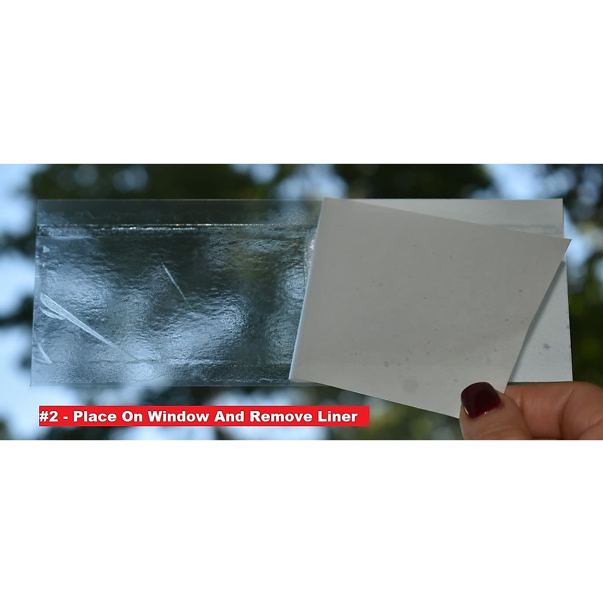 Window Fly Traps by Titan Traps - Sticky Fly Paper, Window Bug Catcher, Indoor Fly Trap, Fly Paper Bug Sticky Strips, Window Fly Strips, Bug Sticky Trap - 30 Disposable Fly Traps (2 Pack)