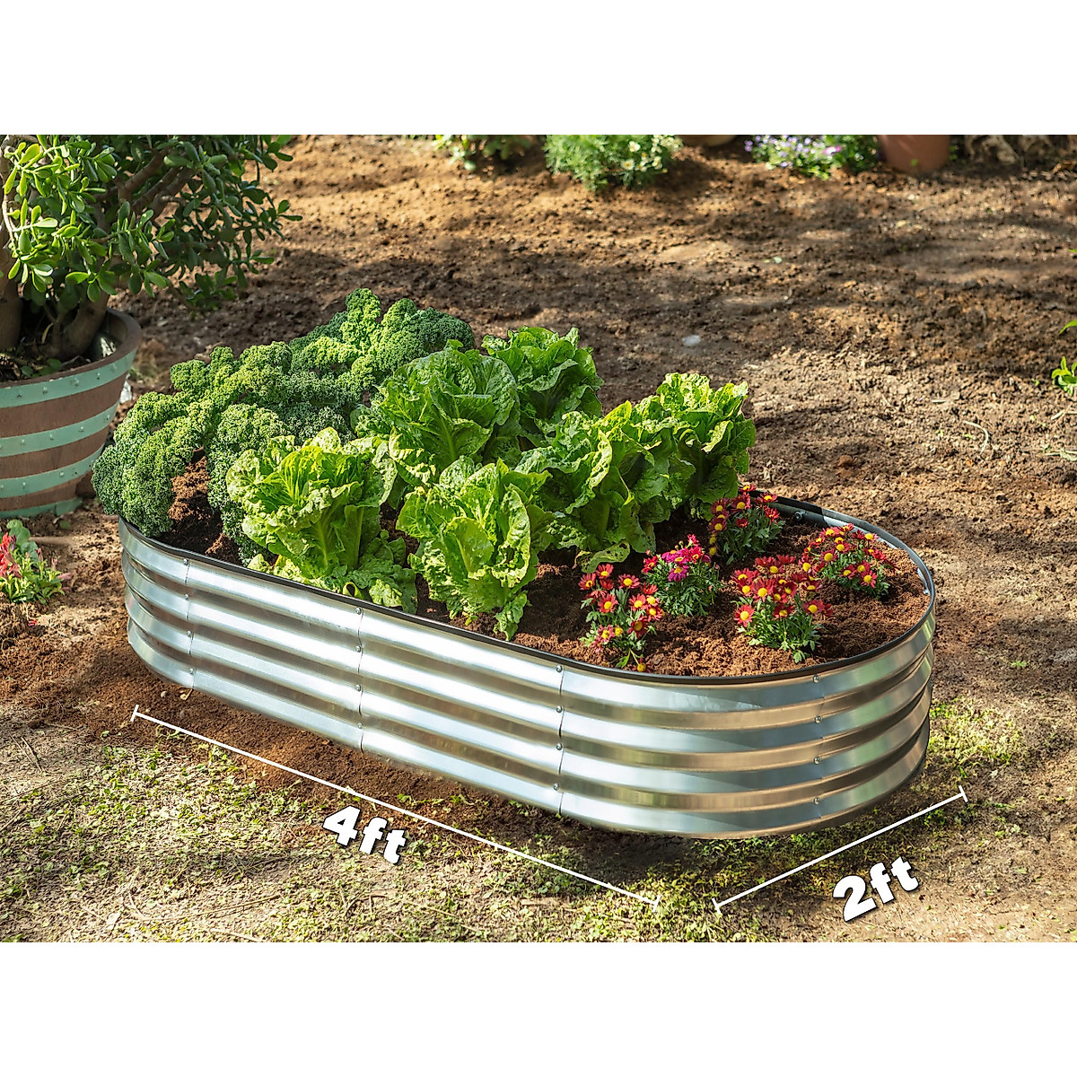 Galvanized Raised Garden Beds Outdoor // 4×2×1 ft Planter Raised Beds for Gardening, Vegetables, Flowers // Large Metal Garden Box (Silver)