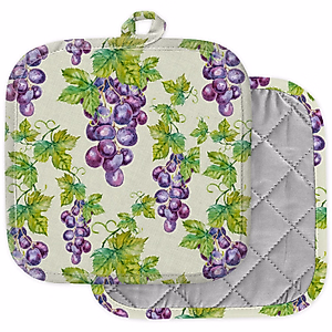 [Pack of 2] Pot Holders for Kitchen, Washable Heat Resistant Pot Holders, Hot Pads, Trivet for Cooking and Baking ( Grapes Leaves )