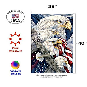 Toland Home Garden 1012379 Fly In Unity Patriotic Flag 28x40 Inch Double Sided Patriotic Garden Flag for Outdoor House Eagle Flag Yard Decoration