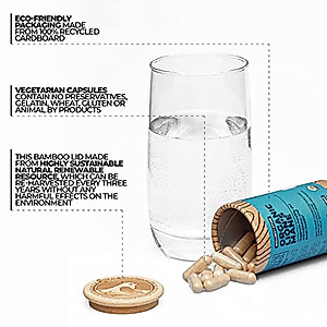 Wellnest.Store Lions Mane Mushroom Organic Supplement (Hericium Extract) 60 Veggie Caps - Immune Support Supplement; Improve Cognitive Function + Promote Vitality, Protect Nerve Cells