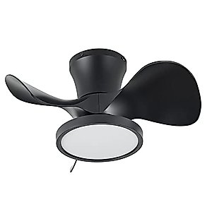 ocioc Quiet Ceiling Fan with LED Light 22 inch Large Air Volume Remote Control for Kitchen Bedroom Dining room Patio