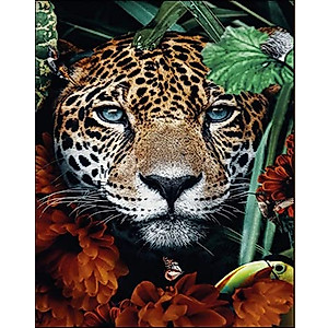 Animal Prints Wall Art Decor for Living Room, Safari Pictures Wall Decor for Bathroom, Safari Posters for Wall with Lion, Leopard,Elephant,Gorilla (8"x10" Unframed)