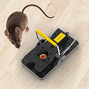 Instant Mouse Mice Traps Pack of 6 - for House, Indoor & Outdoor - Easy Setup & Reusable w/Powerful Spring - Quick & Effective Mousetrap Catcher, Best Traps to Remove Unwanted Rodent from Your Home
