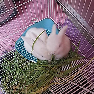 kathson Rabbit Litter Box Bunny Toilet Triangle Potty Trainer Corner Large Bedding Box Pet Pan for Rabbits Chinchillas Ferrets Guinea Pigs Galesaurs(Blue)