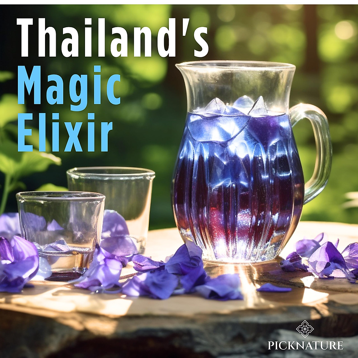 PICKNATURE Butterfly Pea Flower Tea Loose Leaf Freshly Picked from Thailand | Mini Pack (100+ Cups) | Herbal Blue Tea Gifts |USDA Organic