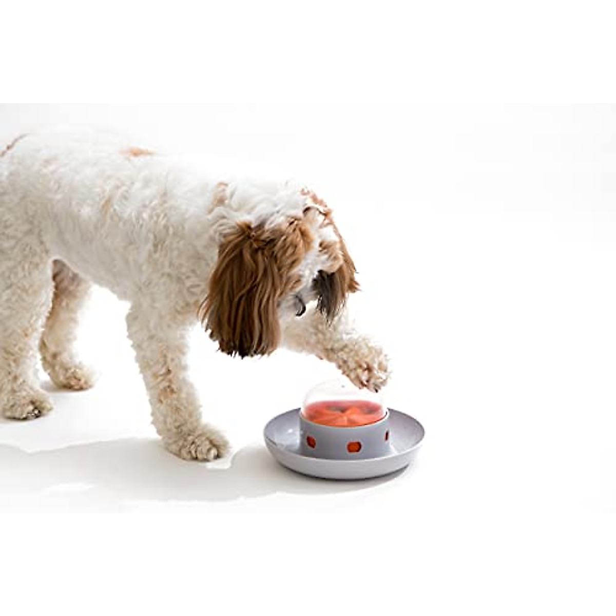 The UFO Interactive Push Button Food Treat Dispenser Bowl for Dogs & Cats for Fun Slow Feeding