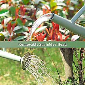 CherHome Watering Can for Outdoor Plants&Indoor Plants,Plant Watering Can 1 Gallon,Metal Flower Garden Watering Can Water Can Watering Pot,Galvanized Steel Watering Can Outdoor(Cream Green)