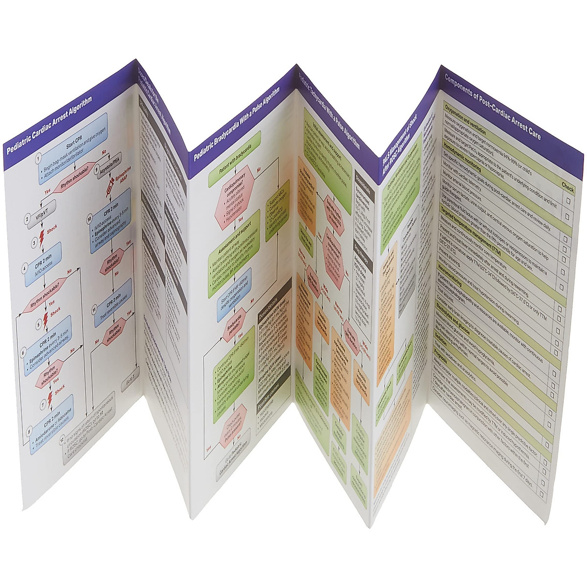 2020 Pals Pocket Reference Card