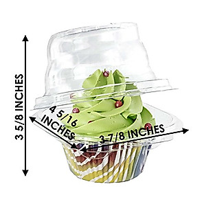 Katgely Individual Cupcake Containers (Pack of 50)- Single Compartment Clear Plastic Cupcake Boxes, Cupcake Holder - Stackable, Deep Dome, Disposable & BPA-Free