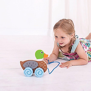 Bigjigs Toys Wooden Duck Pull Along Toy